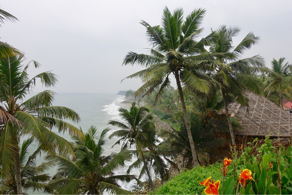 Backwaters – Varkala – Bergzugvogel